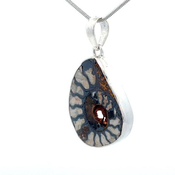 Sterling Silver Fossilized Ammonite Pendant – Oracle Body Jewelry