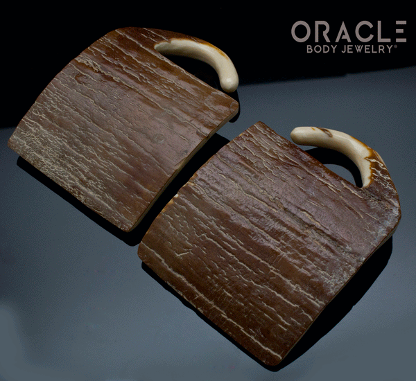 2g (6mm) Fossilized Mammoth Ivory Weapons Cache Box – Oracle Body Jewelry