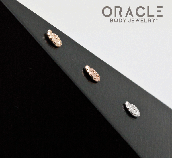 14k Ammonite Threadless End – Oracle Body Jewelry