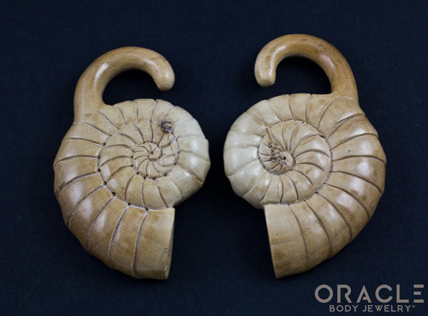 00g (9.5-10mm) Fossilized Mammoth Ivory Ammonites – Oracle Body Jewelry